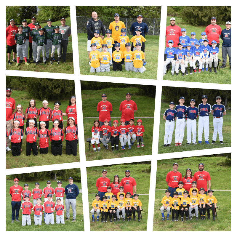 Shaler Area Little League | Shaler Area Little League